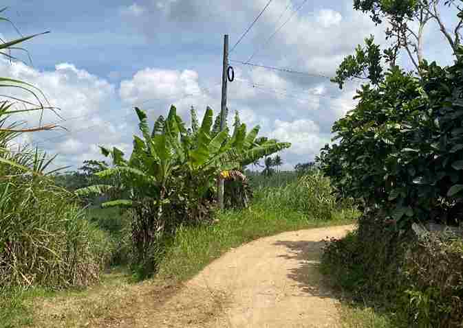12 Tahun Menanti, 105 Tiang Terpasang, Hingga Kini Dusun Krajan Gelap ...